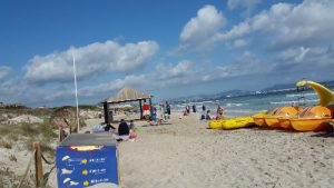 Mini Travel Guide 2025 - Majorca with Kids - Travels With My Boys
