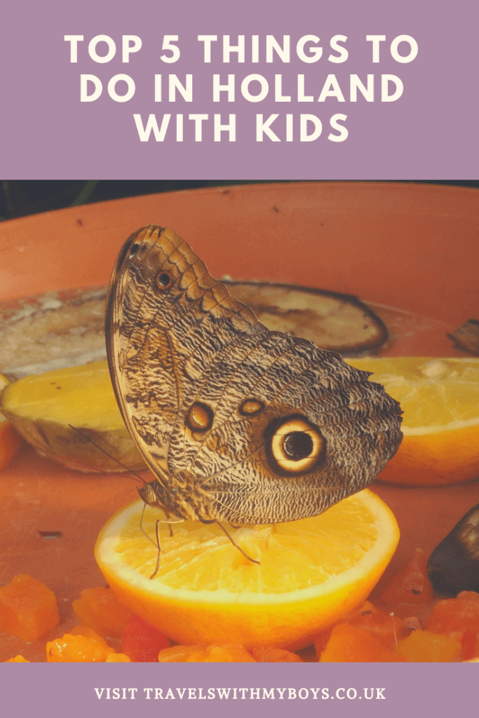 5 Things To Do In Holland With Kids - Travels With My Boys