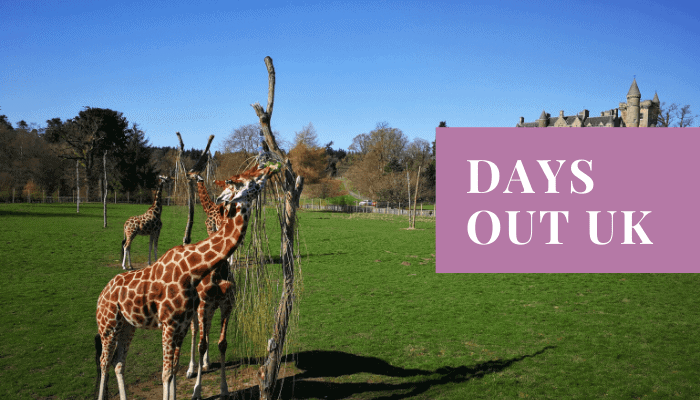 Family Travel Inspiration Plus Tips & Advice on Travelling With Kids